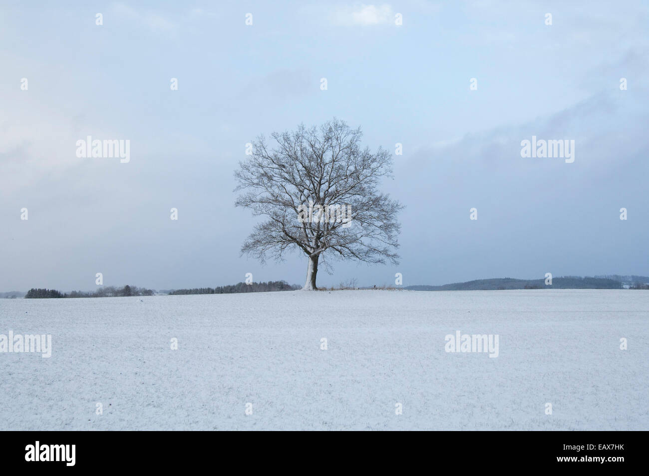 Eine der vier jahreszeiten -Fotos und -Bildmaterial in hoher Auflösung – Alamy