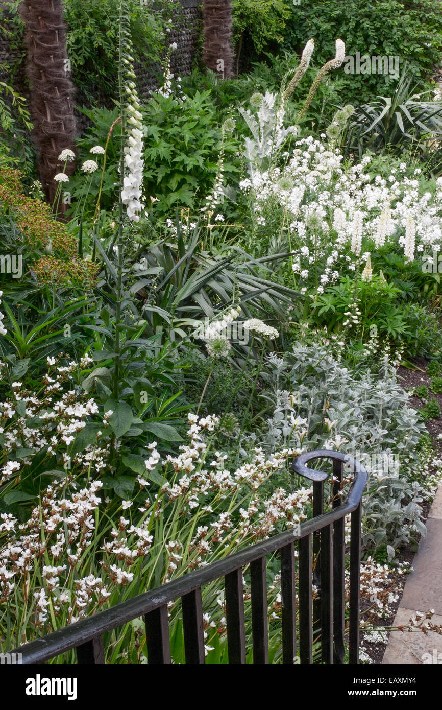 Arundel Castle die weißen Garten Pflanzen Kombination bestehend aus ...