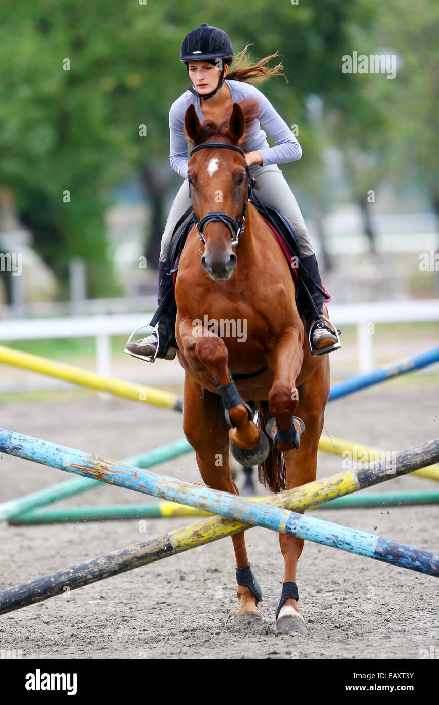 Black white photo jumping horse -Fotos und -Bildmaterial in hoher ...