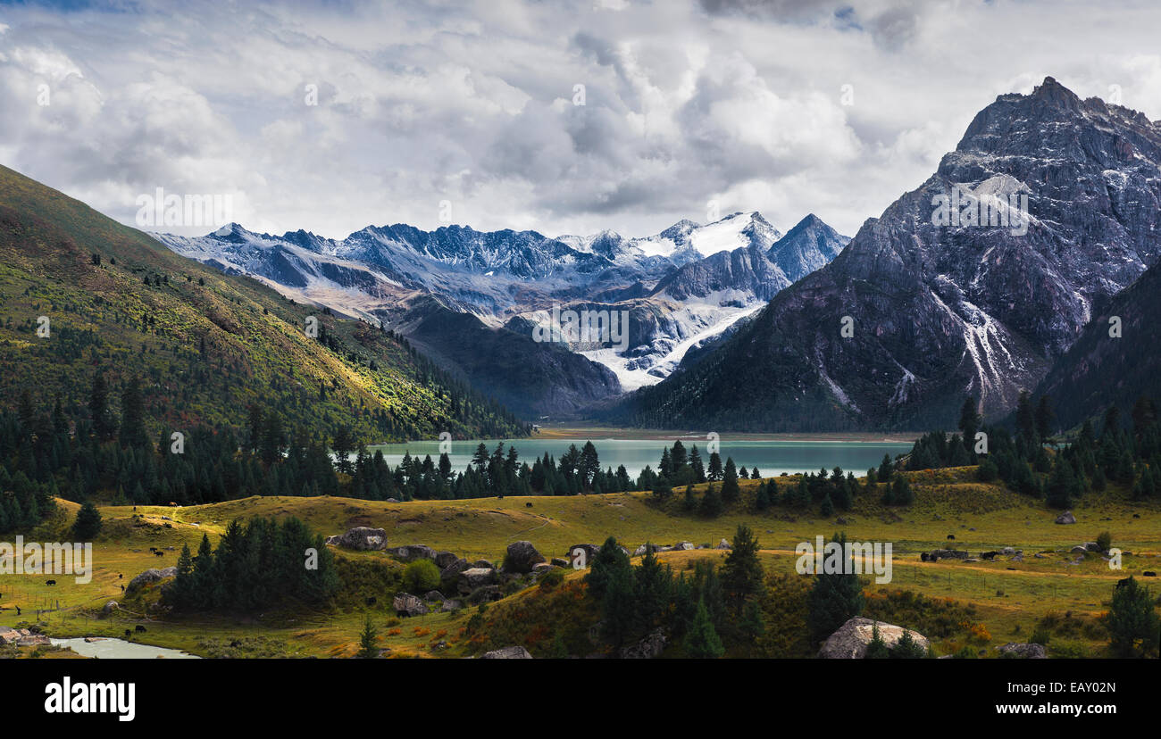 Dege sichuan province -Fotos und -Bildmaterial in hoher Auflösung – Alamy