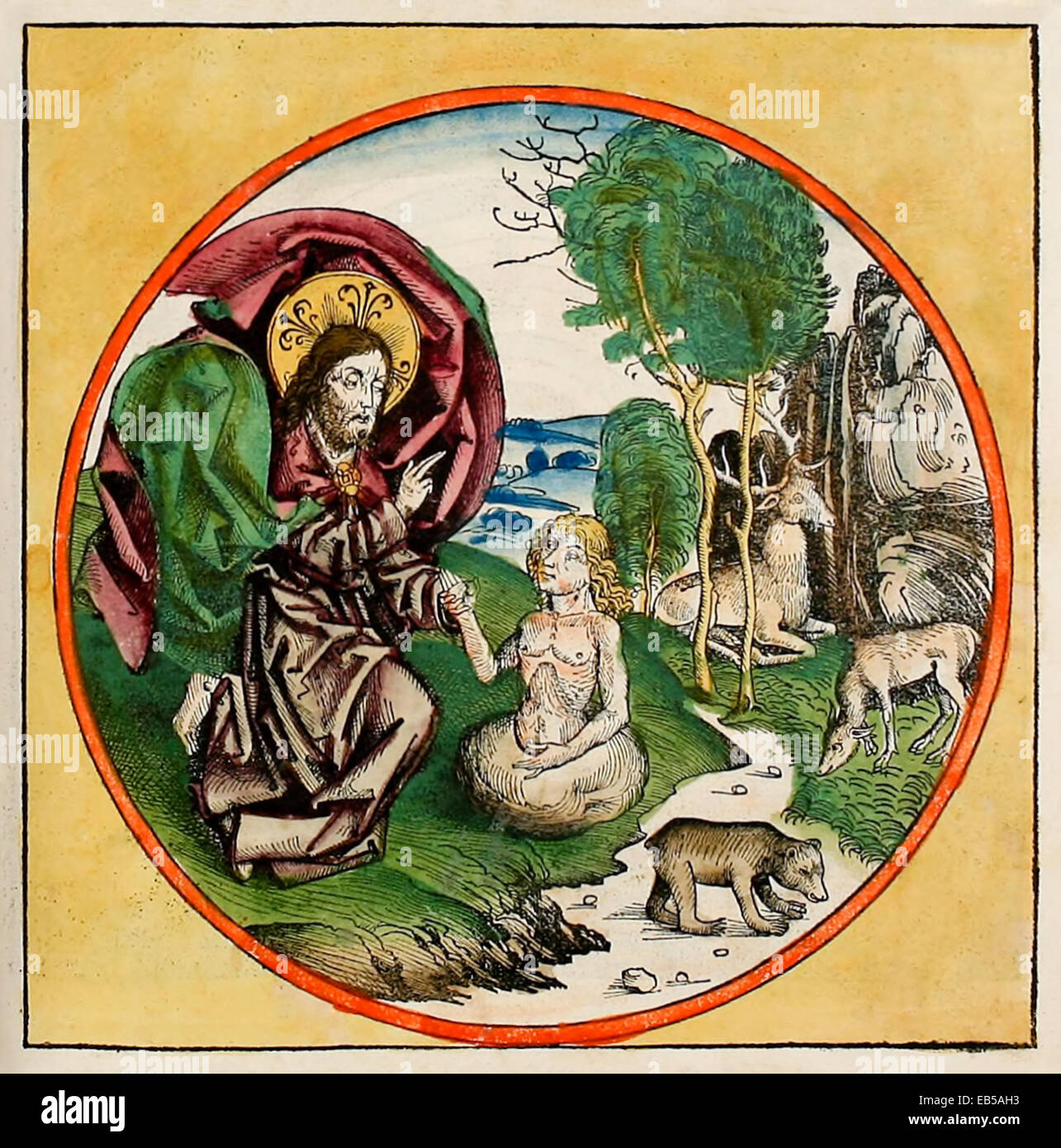 God creates adam -Fotos und -Bildmaterial in hoher Auflösung – Alamy