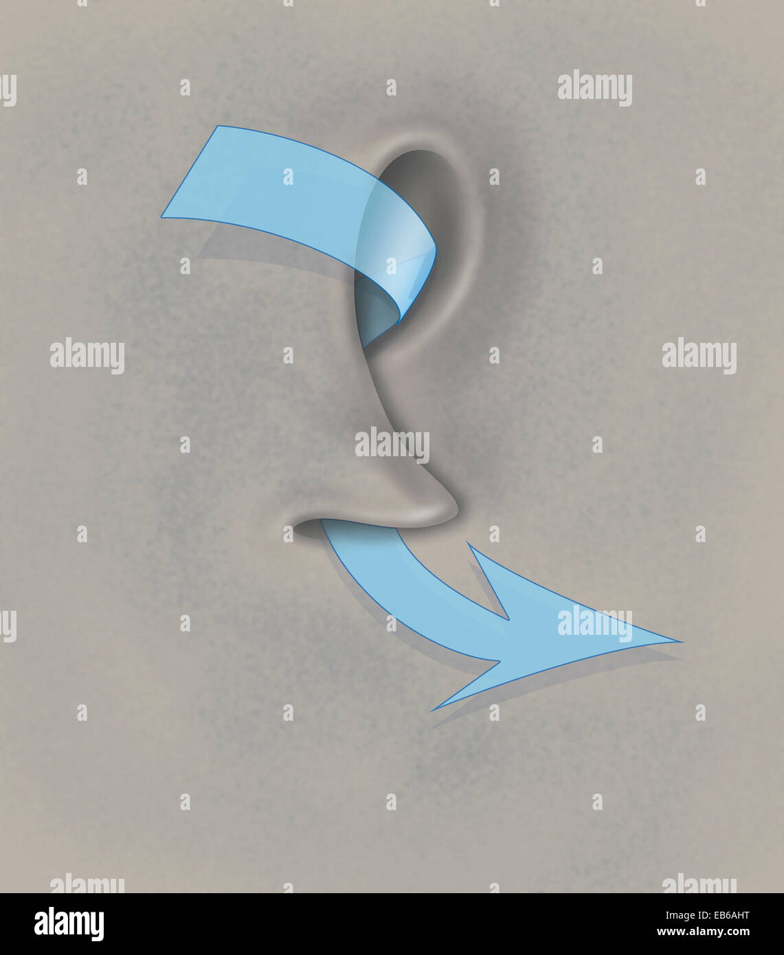 Anatomie von fischen -Fotos und -Bildmaterial in hoher Auflösung – Alamy