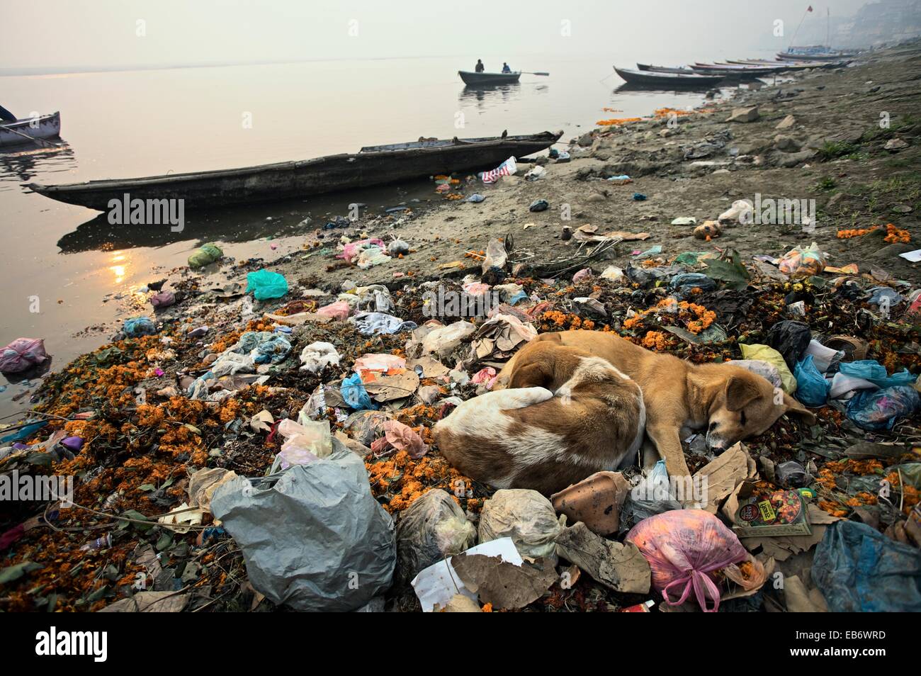Verschmutzung auf den Ganges Ghats Varanasi, Indien Stockfotografie - Alamy