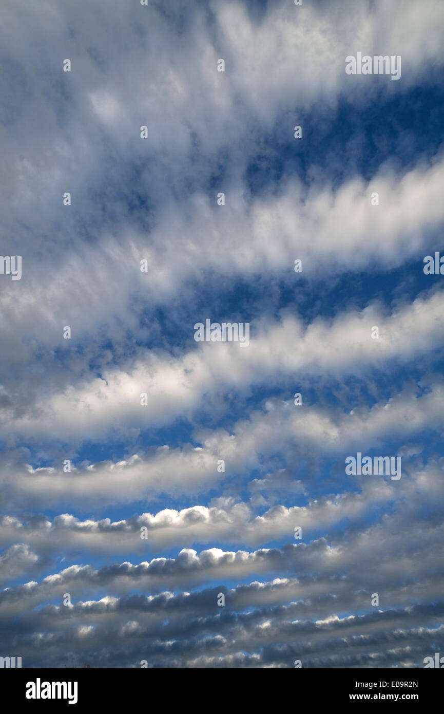 Altocumulus Stratiformis Perlucidus Undulatus Wolken, Schleswig ...