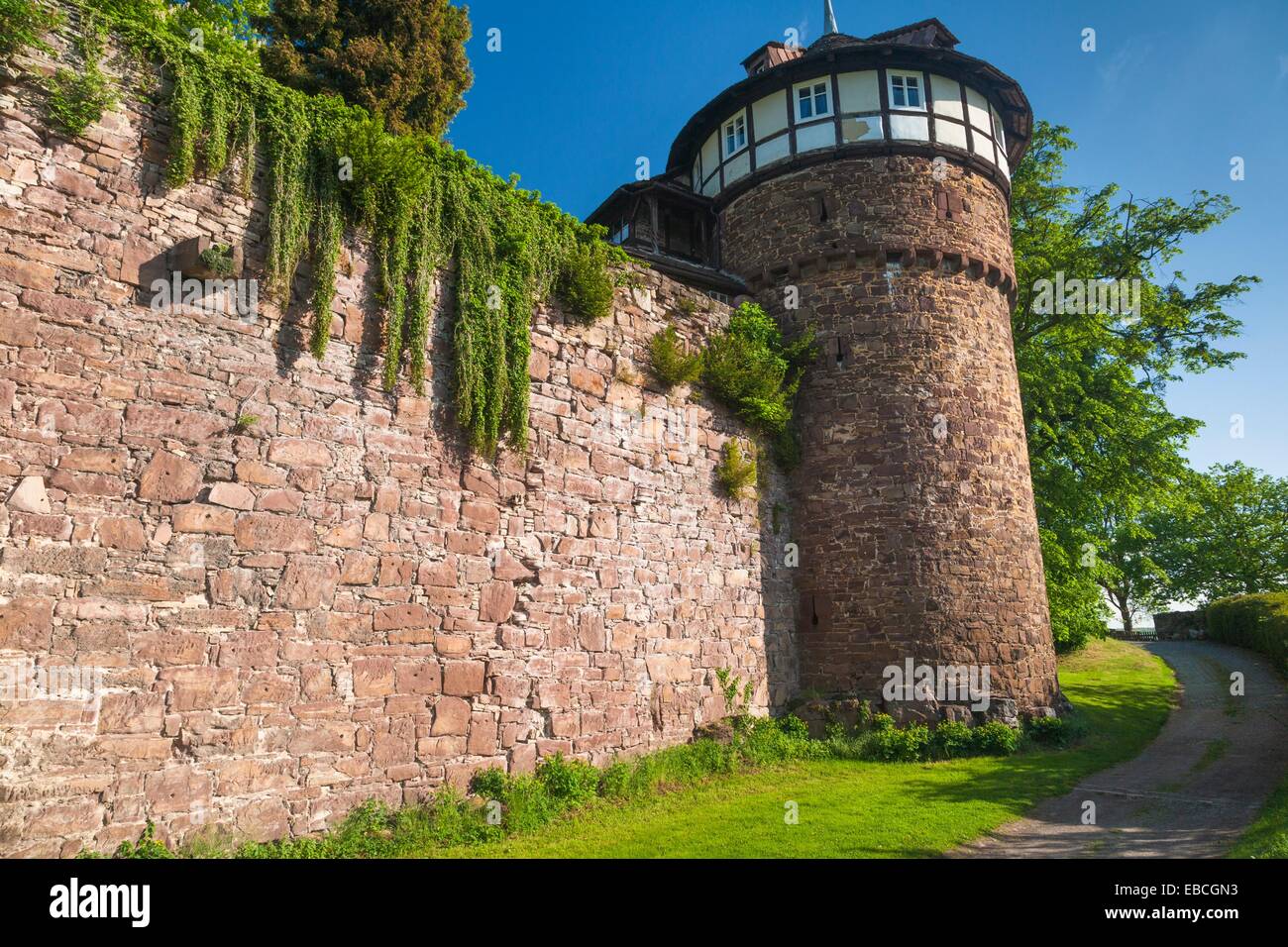 Trendelburg turm -Fotos und -Bildmaterial in hoher Auflösung – Alamy