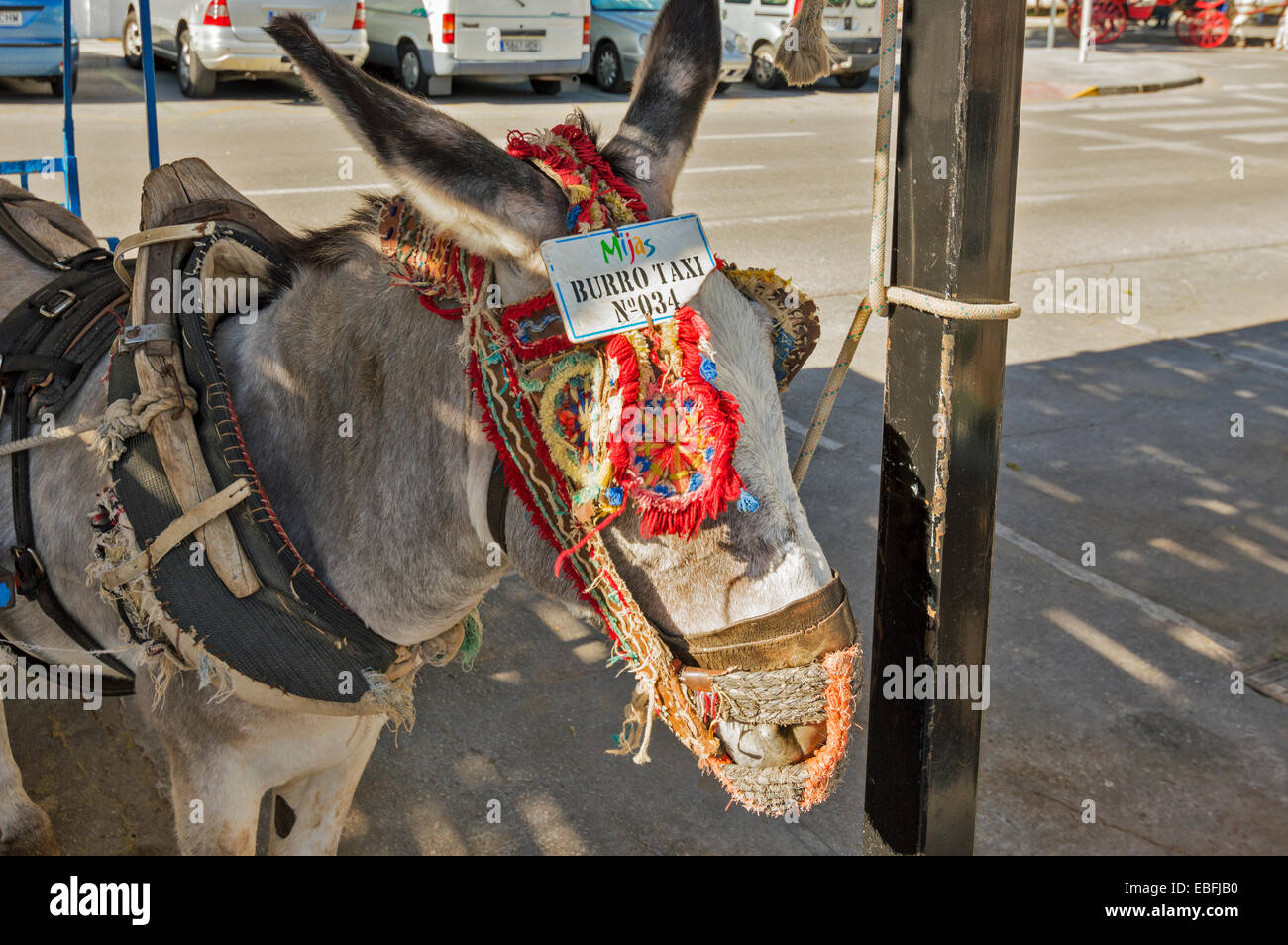 Transport burro -Fotos und -Bildmaterial in hoher Auflösung – Alamy