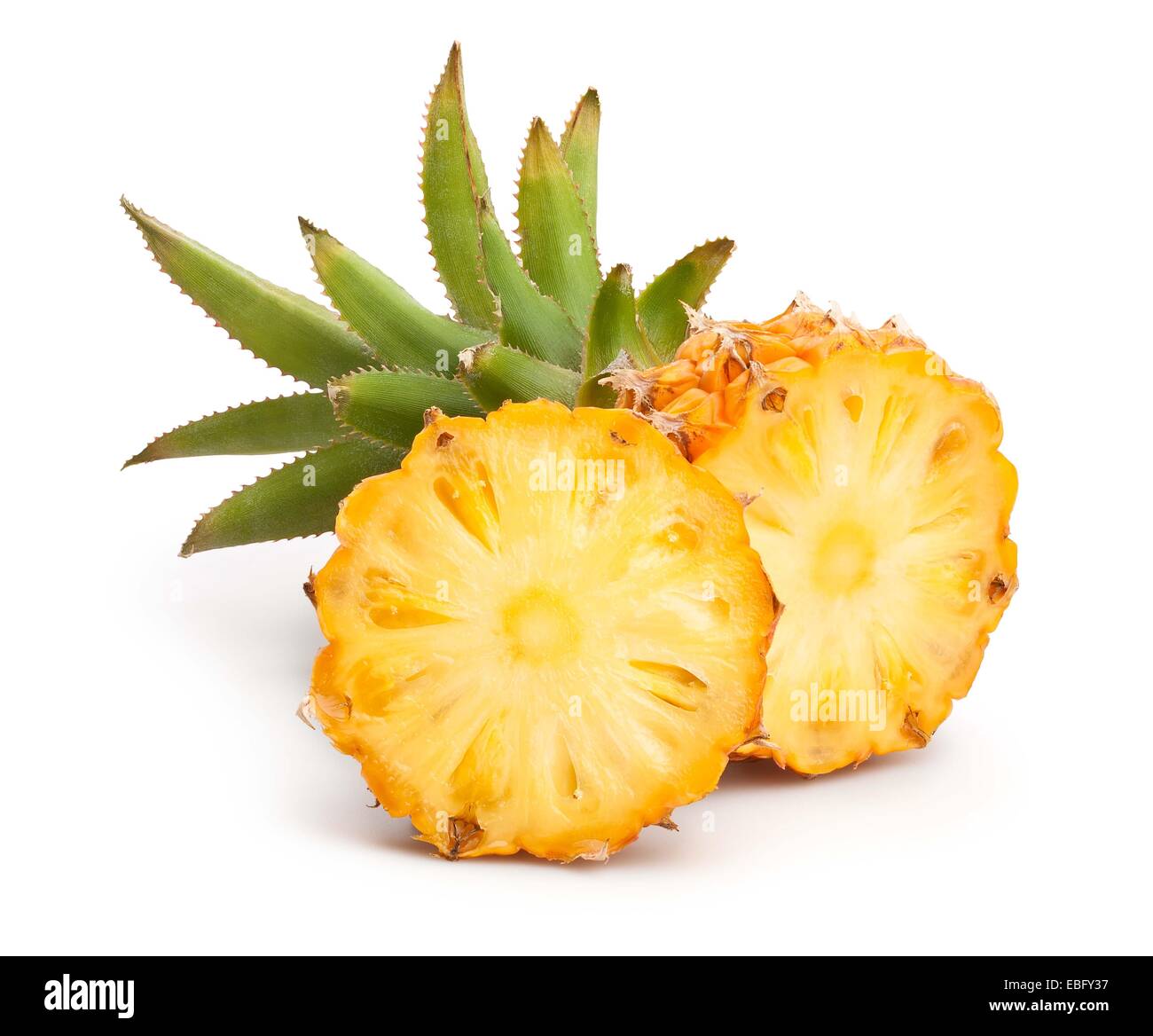 Baby ananas -Fotos und -Bildmaterial in hoher Auflösung – Alamy