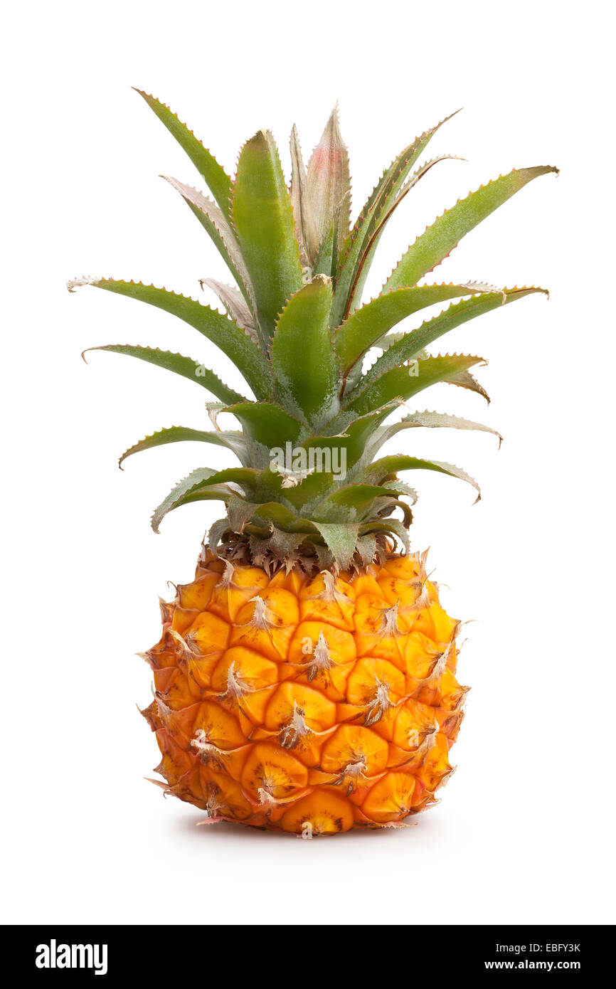 Baby ananas -Fotos und -Bildmaterial in hoher Auflösung – Alamy