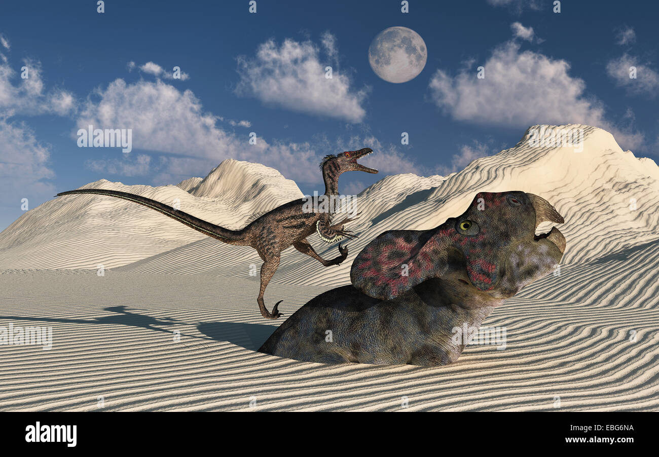 Velociraptor mongolia -Fotos und -Bildmaterial in hoher Auflösung – Alamy