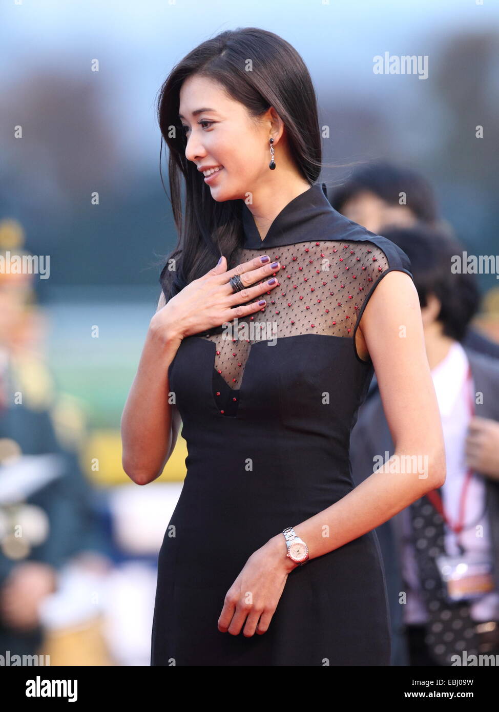 Lin chi ling -Fotos und -Bildmaterial in hoher Auflösung – Alamy