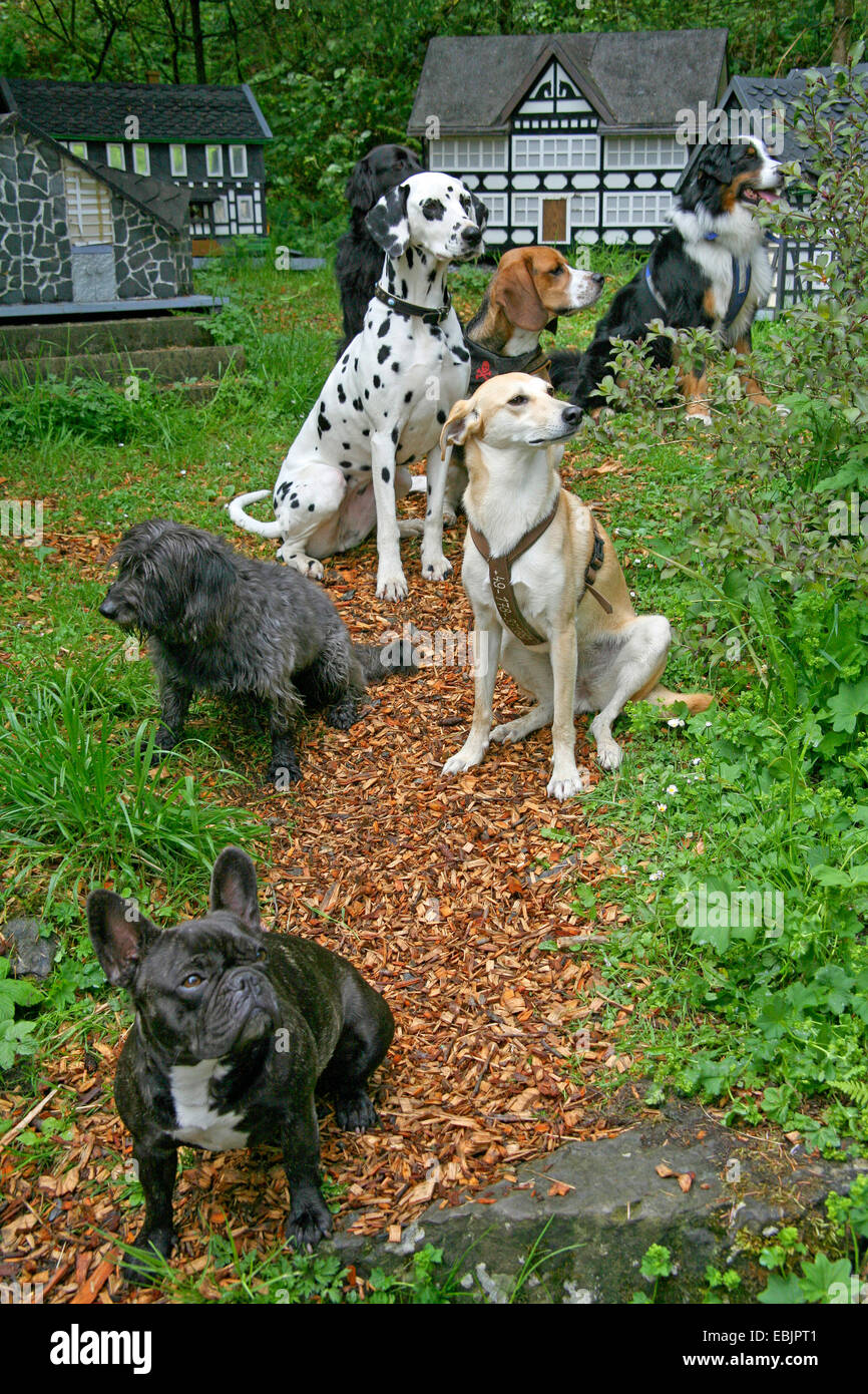 Spot the differences -Fotos und -Bildmaterial in hoher Auflösung – Alamy