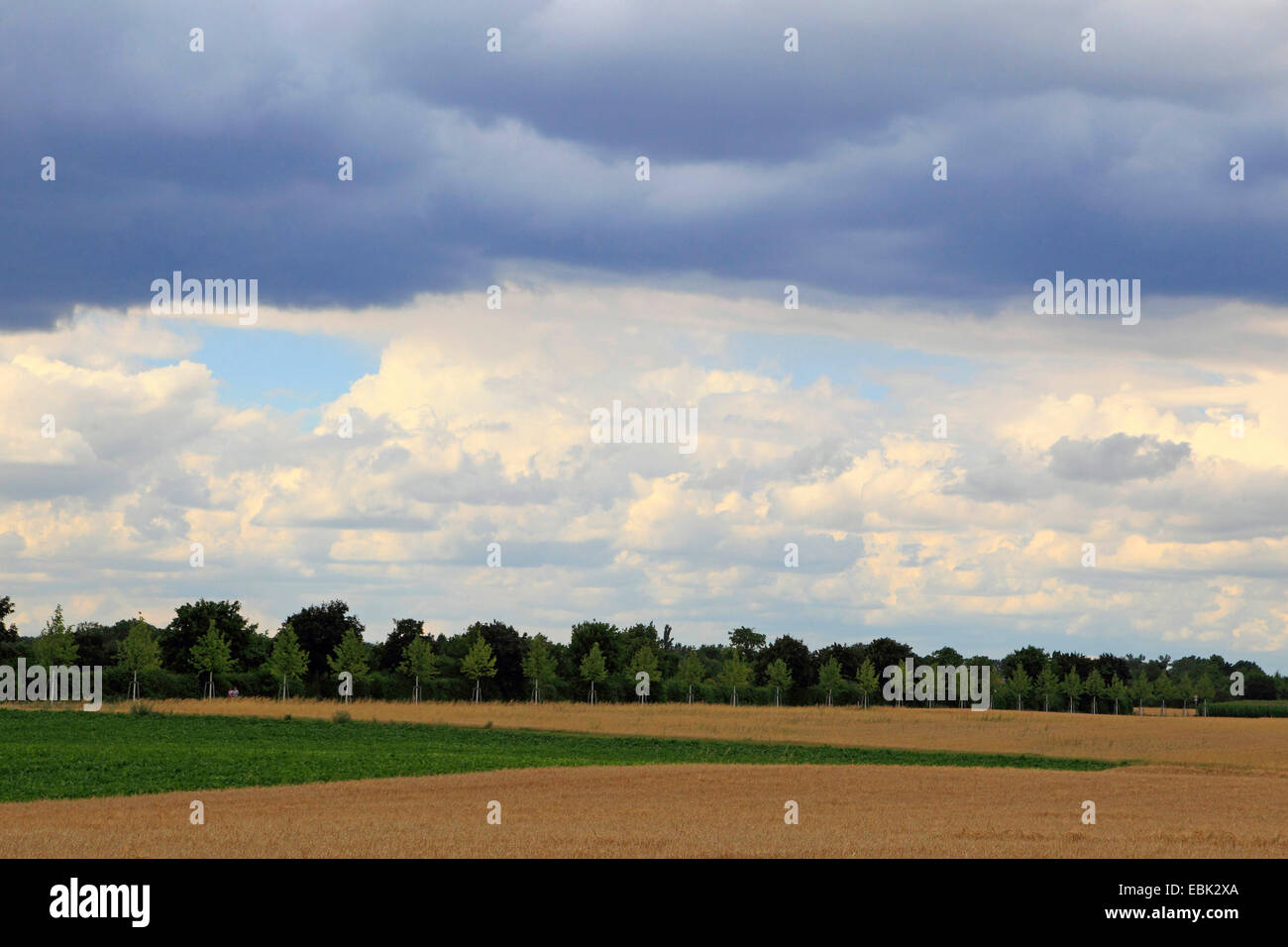 über ein feld -Fotos und -Bildmaterial in hoher Auflösung – Alamy