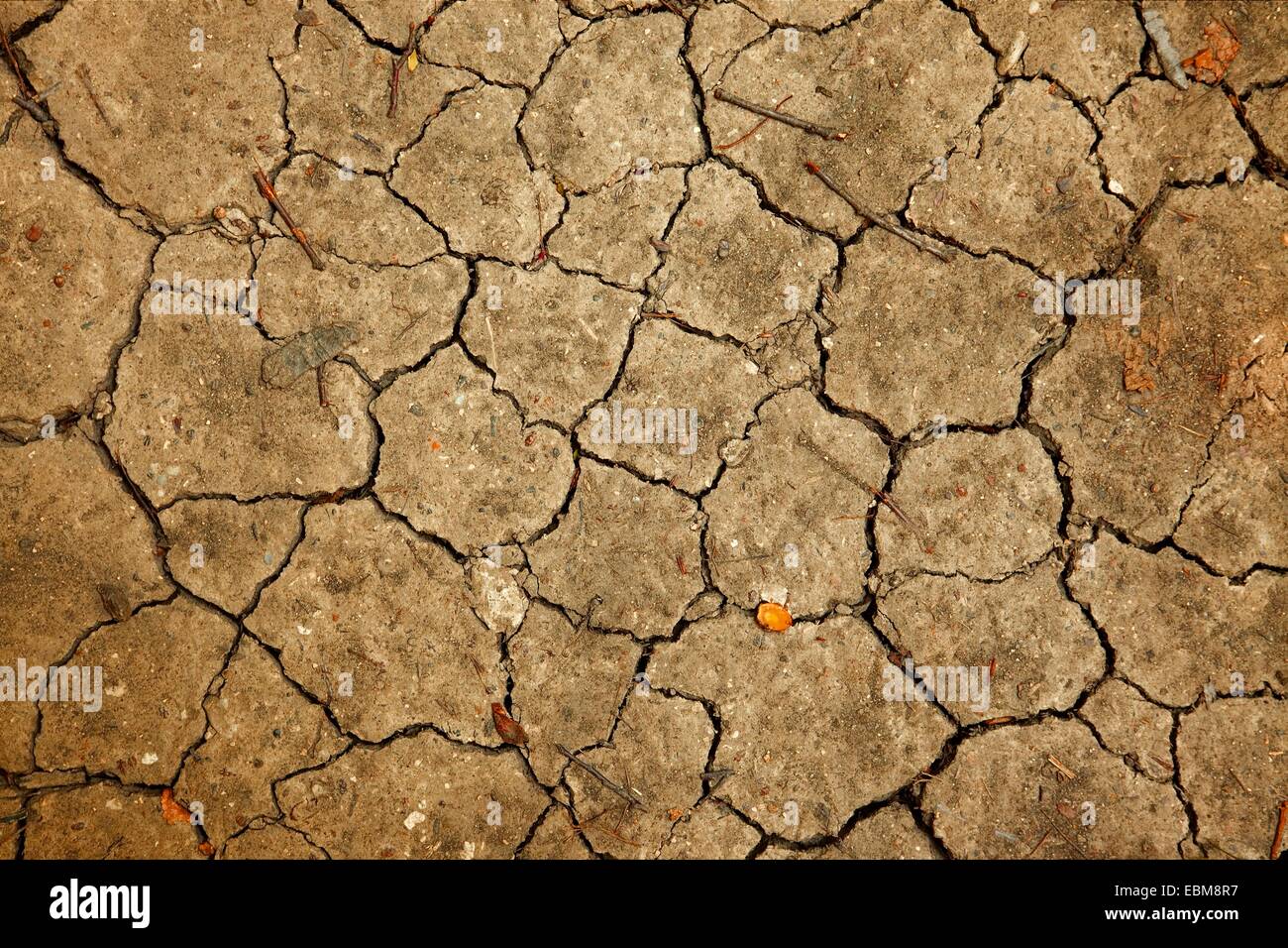 Clay soil texture background dried -Fotos und -Bildmaterial in hoher ...