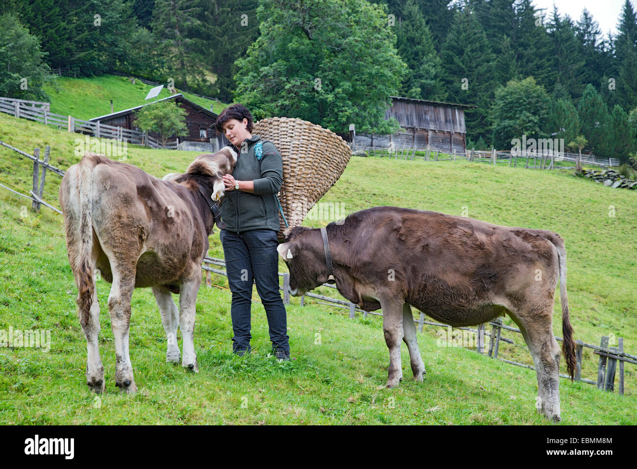 Die arbeit auf der alm -Fotos und -Bildmaterial in hoher Auflösung – Alamy Die arbeit auf der alm -Fotos und -Bildmaterial in hoher Auflösung – Alamy