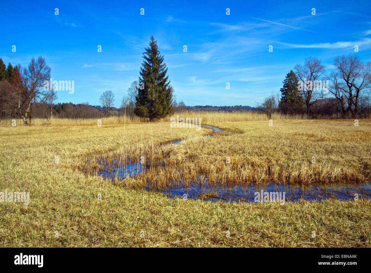 Winter im murnauer moos -Fotos und -Bildmaterial in hoher Auflösung – Alamy