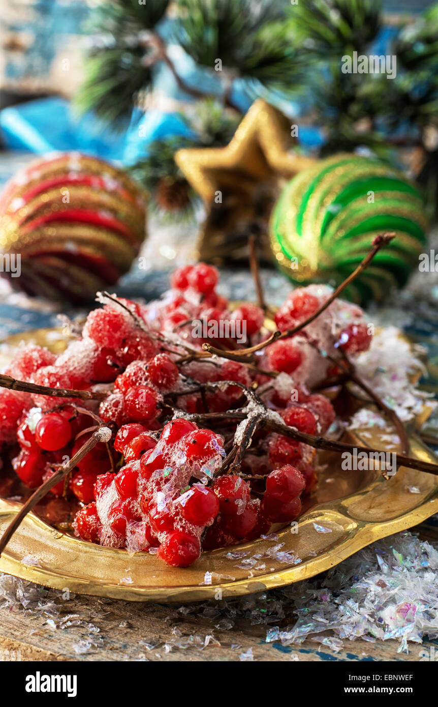 Rote kalina -Fotos und -Bildmaterial in hoher Auflösung – Alamy