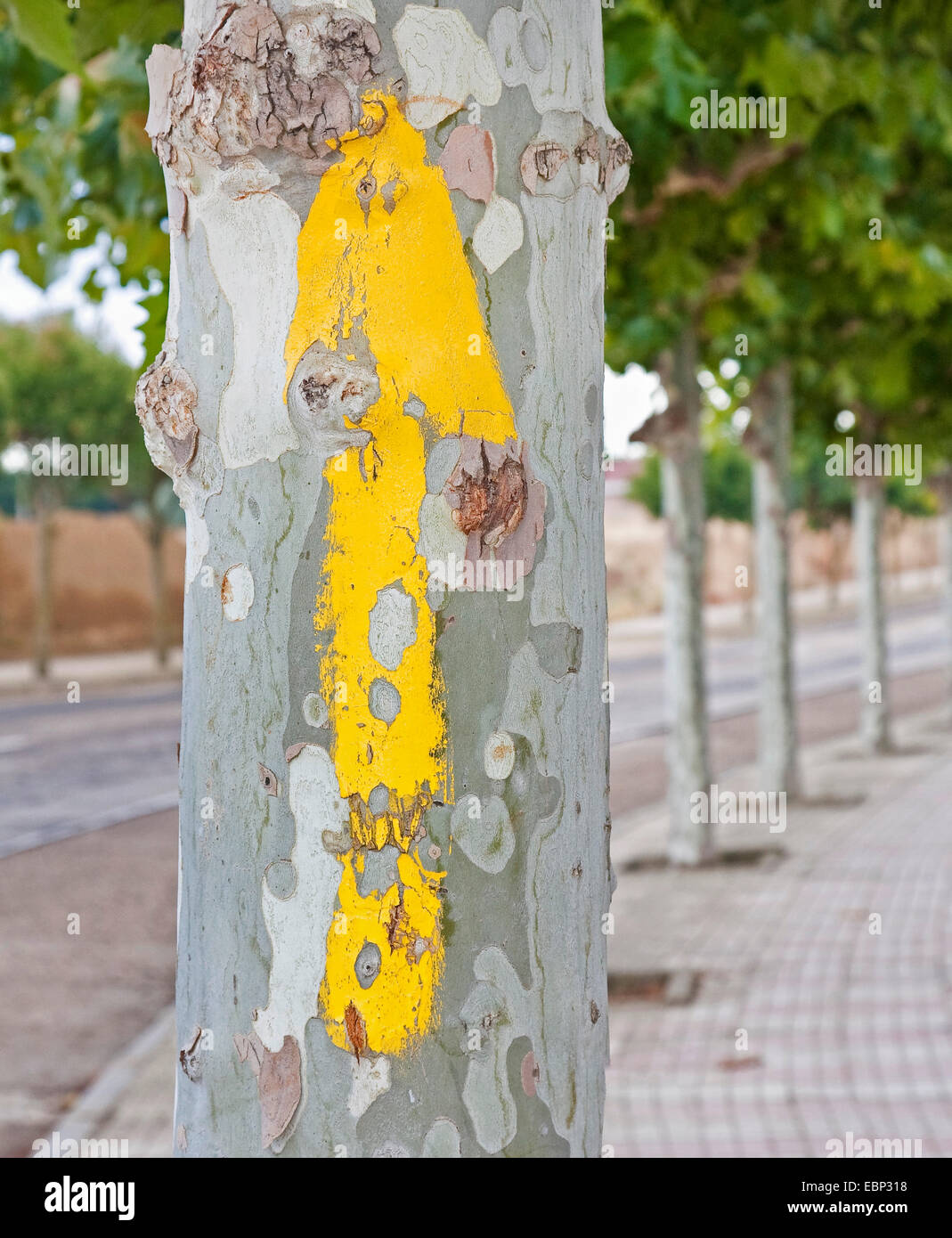 Gassen pfeil Stockfotos und -bilder Kaufen - Alamy