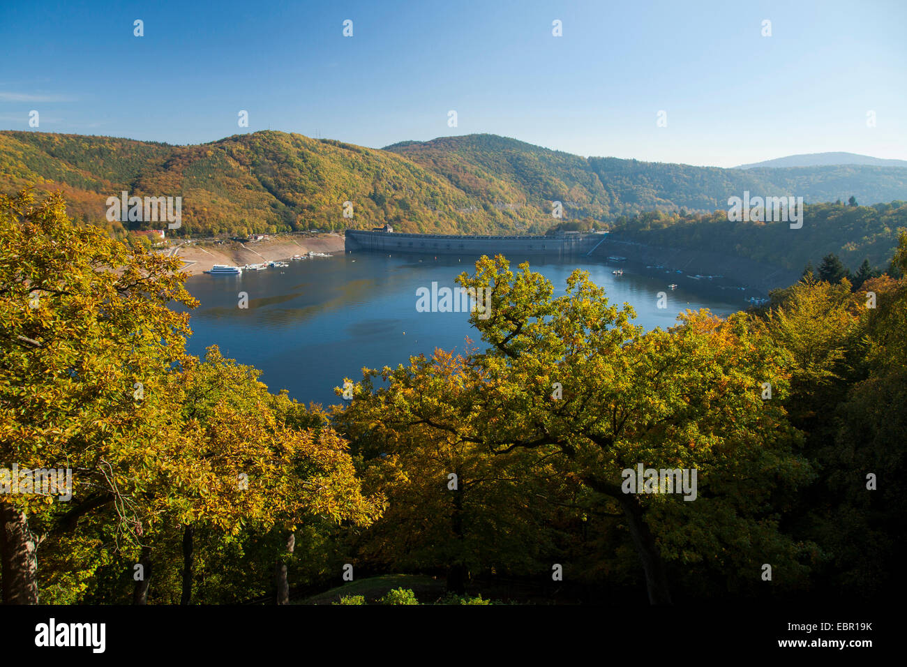 Kellerwald nationalparks -Fotos und -Bildmaterial in hoher Auflösung ...