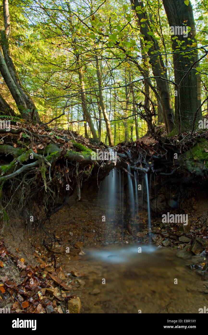 Rhein wasserfälle -Fotos und -Bildmaterial in hoher Auflösung - Seite 7 ...