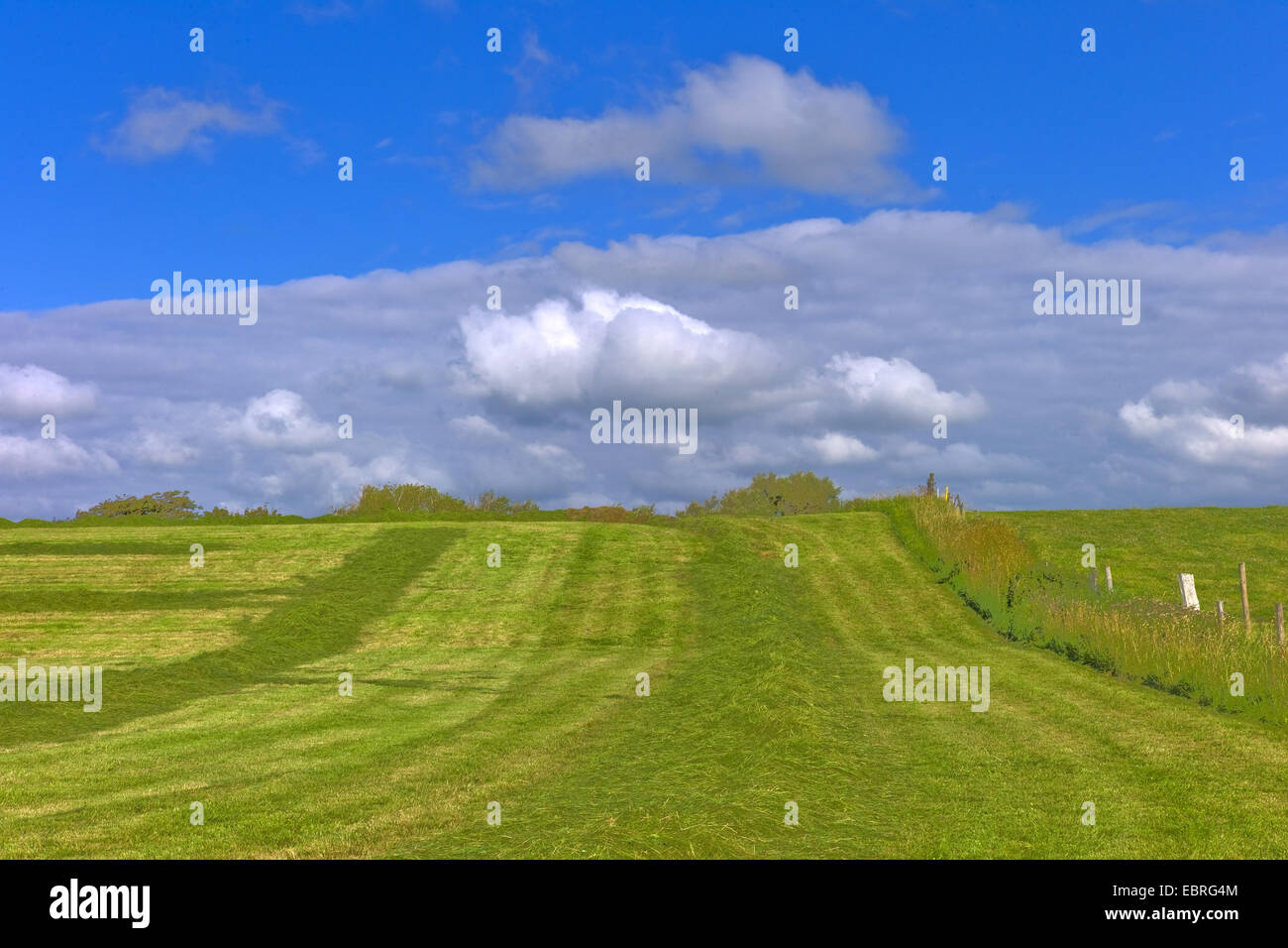 Norden norddeich -Fotos und -Bildmaterial in hoher Auflösung – Alamy