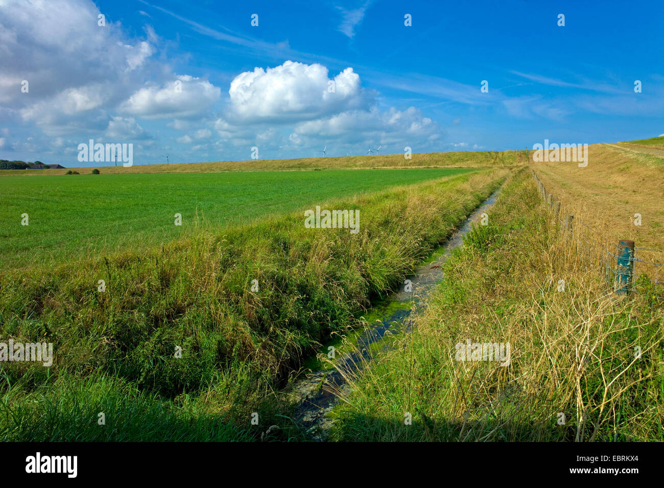 Deich Kanal hinter TheNorth Deich, Harlesiel, Ostfriesland ...