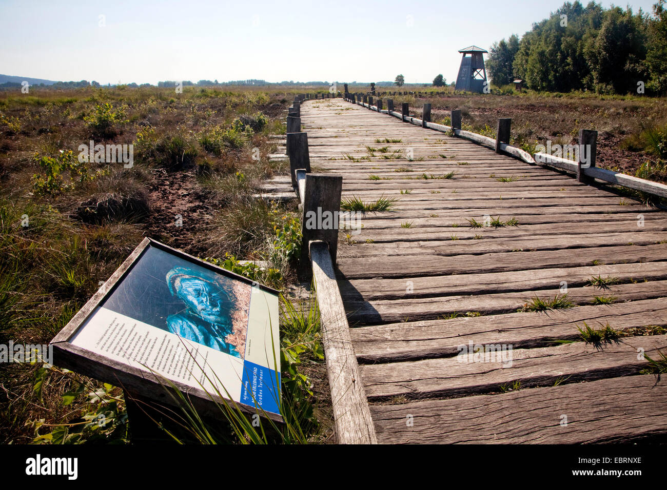 Hochmoor mit beplanktem fußweg -Fotos und -Bildmaterial in hoher ...
