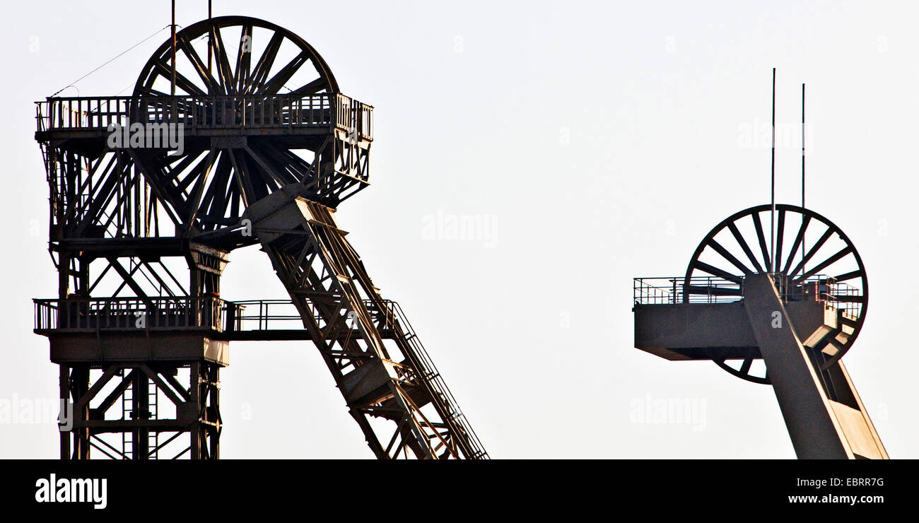 Kopf 1 1 2 Stockfotos und -bilder Kaufen - Alamy