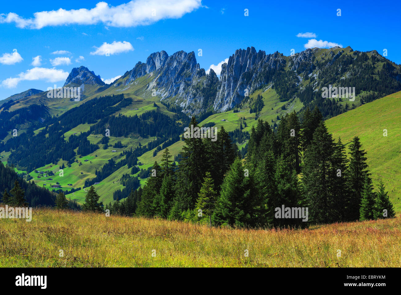 Blick von jaun pass -Fotos und -Bildmaterial in hoher Auflösung – Alamy