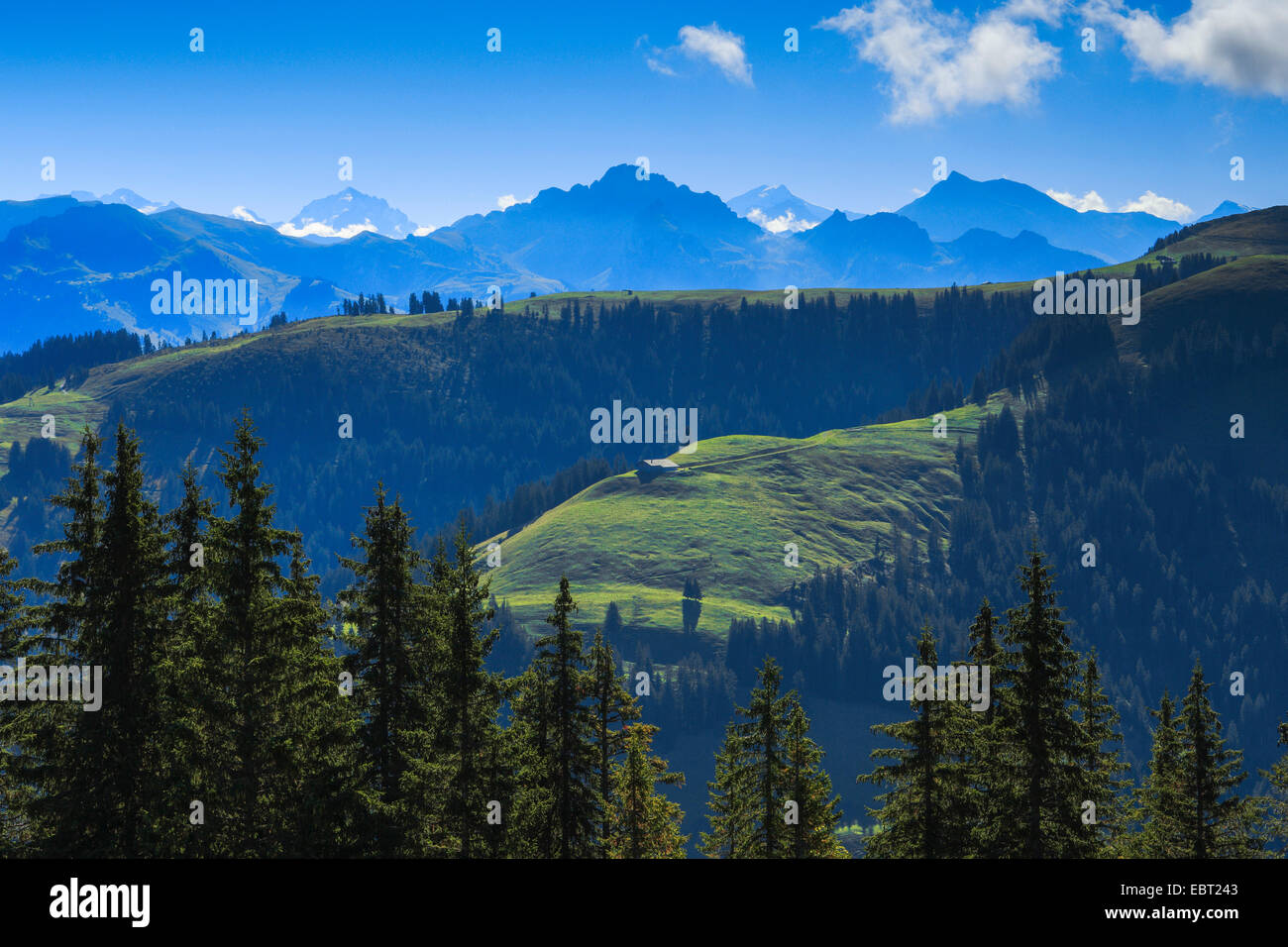 Blick von jaun pass -Fotos und -Bildmaterial in hoher Auflösung – Alamy