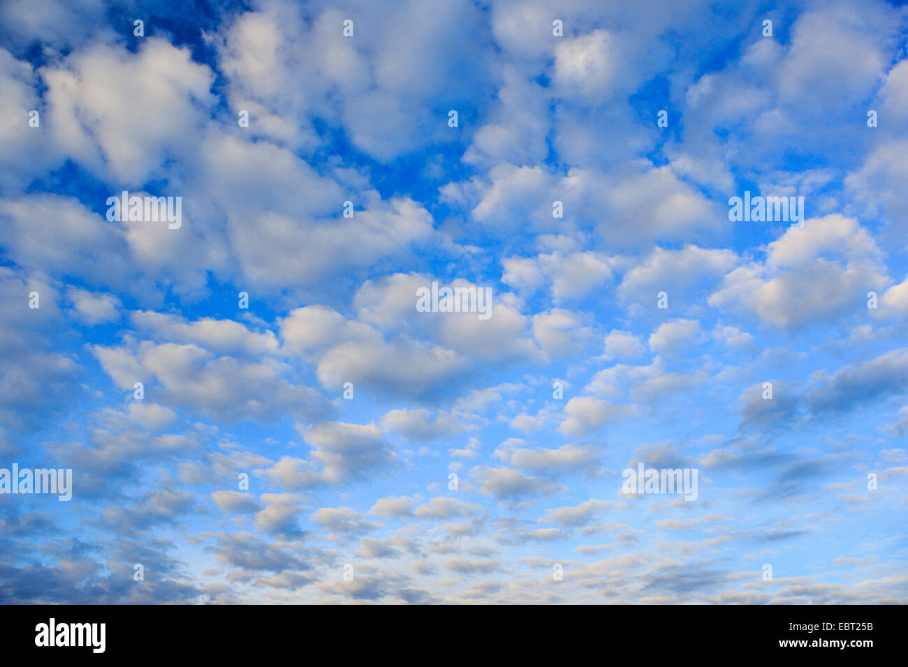 Altocumulus wolken -Fotos und -Bildmaterial in hoher Auflösung – Alamy