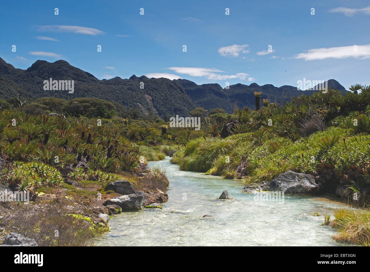 Termales San Juan, Kolumbien, Purace Nationalpark Stockfotografie - Alamy