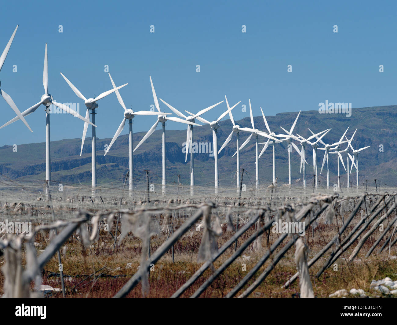 Windrad in einem feld -Fotos und -Bildmaterial in hoher Auflösung – Alamy
