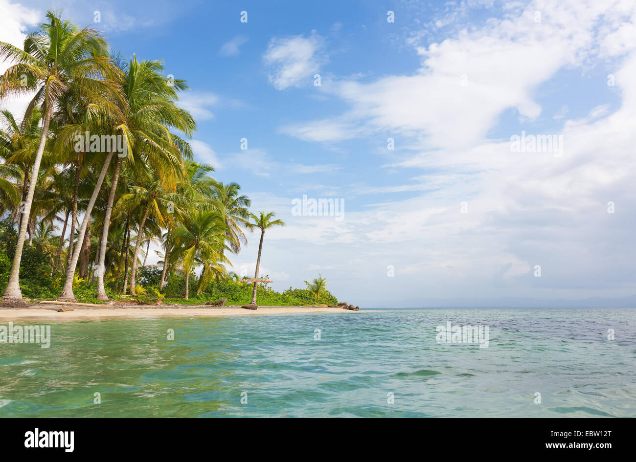 Coco palm -Fotos und -Bildmaterial in hoher Auflösung – Alamy