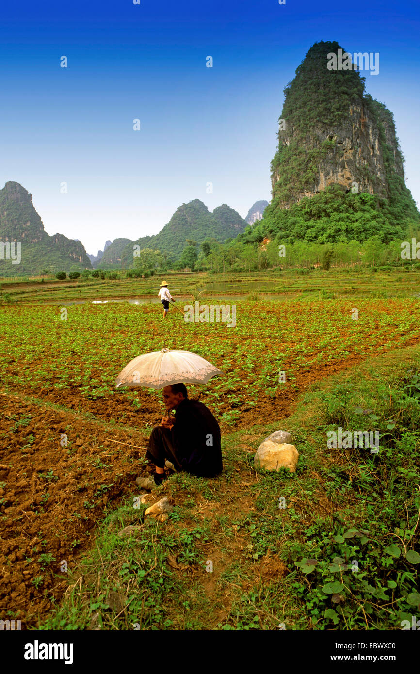 Rice farmers -Fotos und -Bildmaterial in hoher Auflösung – Alamy