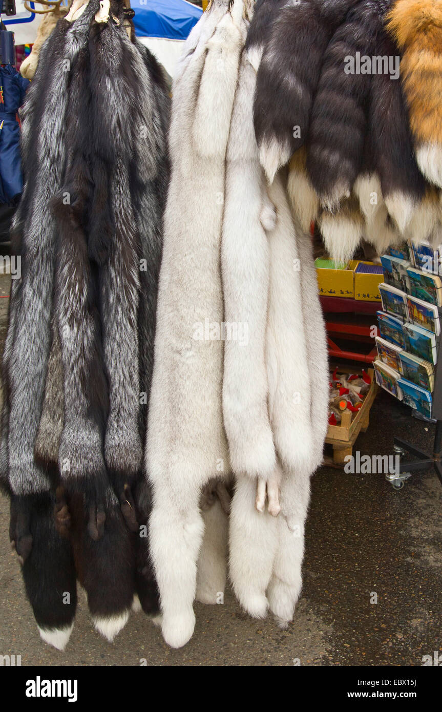 Norwegen alltag -Fotos und -Bildmaterial in hoher Auflösung – Alamy