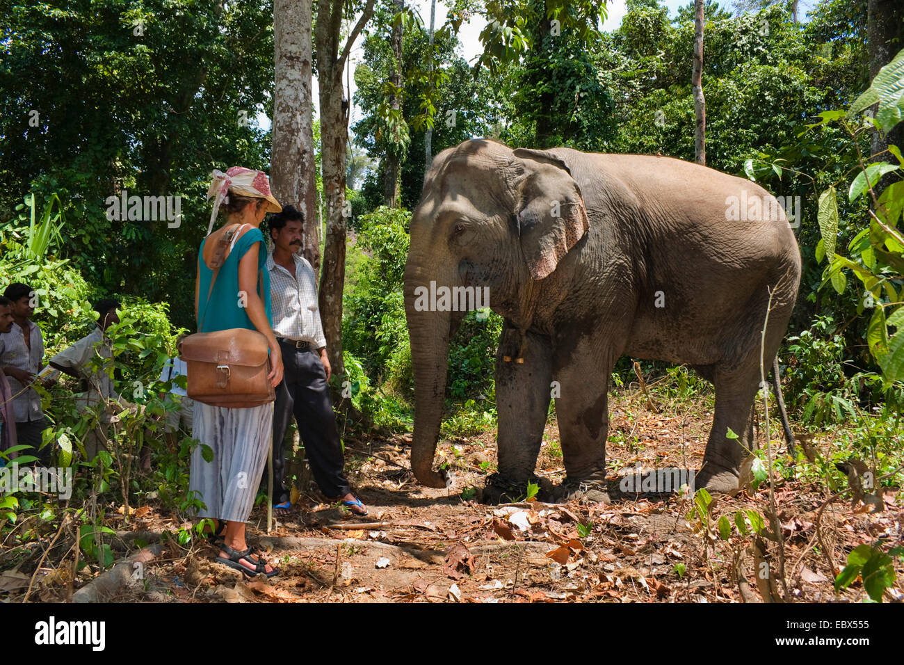 Mahout Elefant Menschen Wald Indien Stockfotos und -bilder Kaufen - Alamy