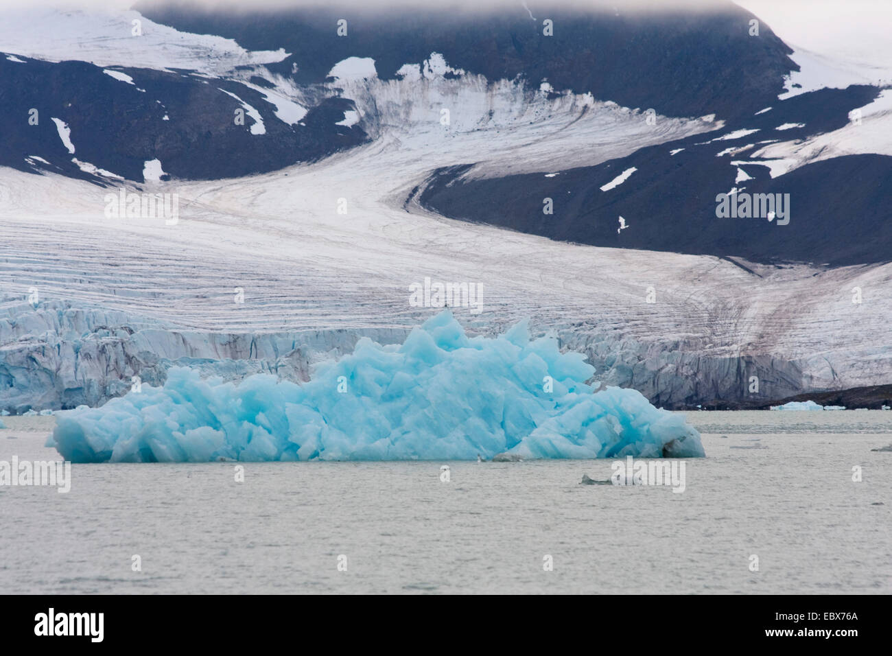 blau schimmernde Eisberg im Wasser vor Gletscher, Norwegen, Spitzbergen ...