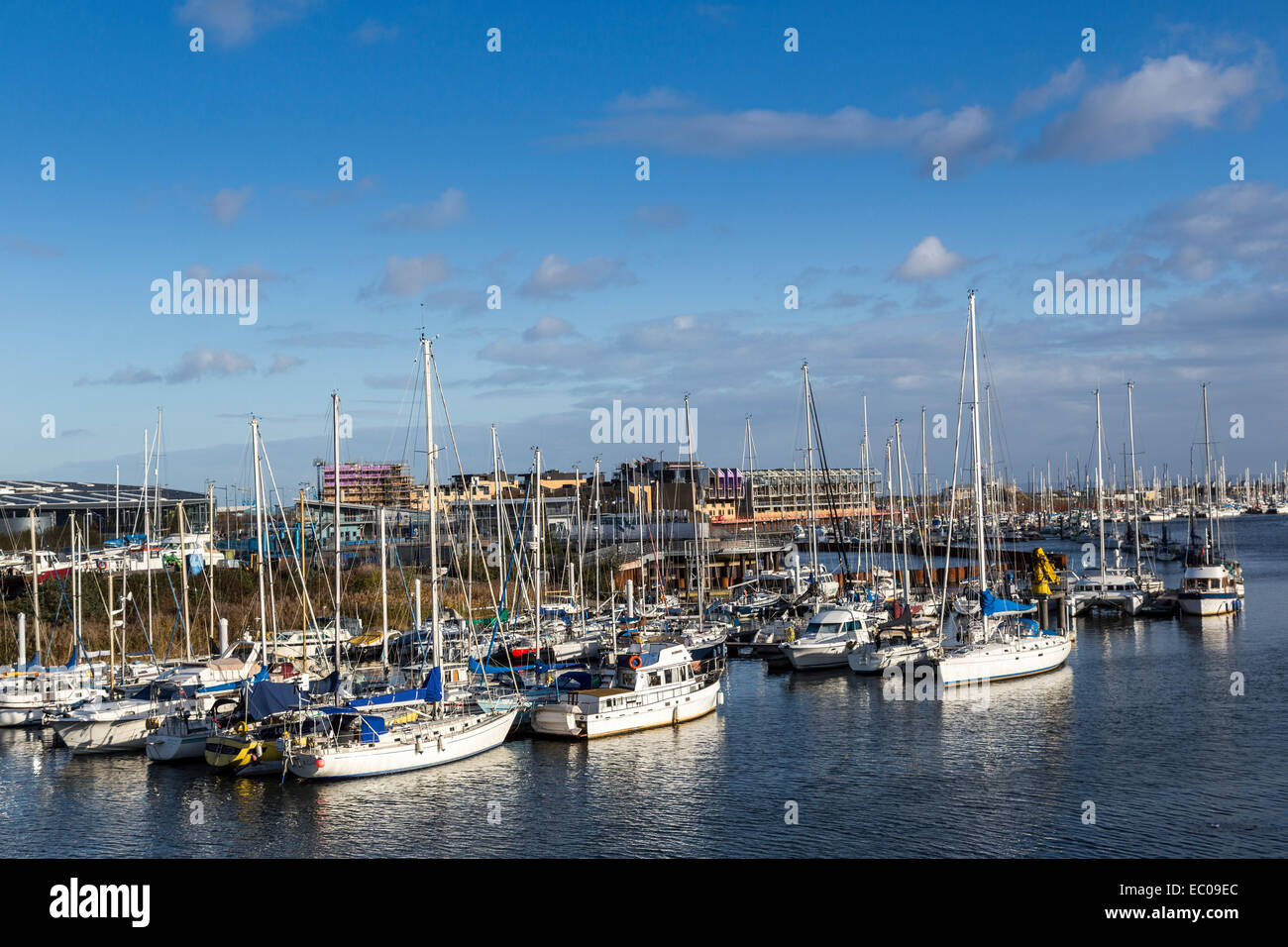 Cardiff bay marina -Fotos und -Bildmaterial in hoher Auflösung – Alamy
