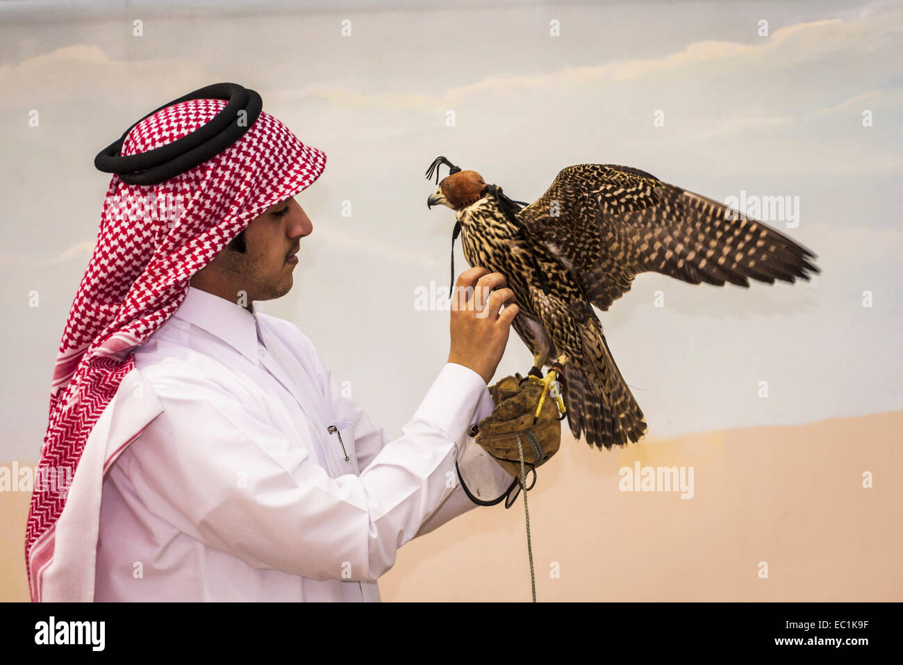 Arabische Prüfung Falke in Doha City-Shop. Der Falke ist der ...