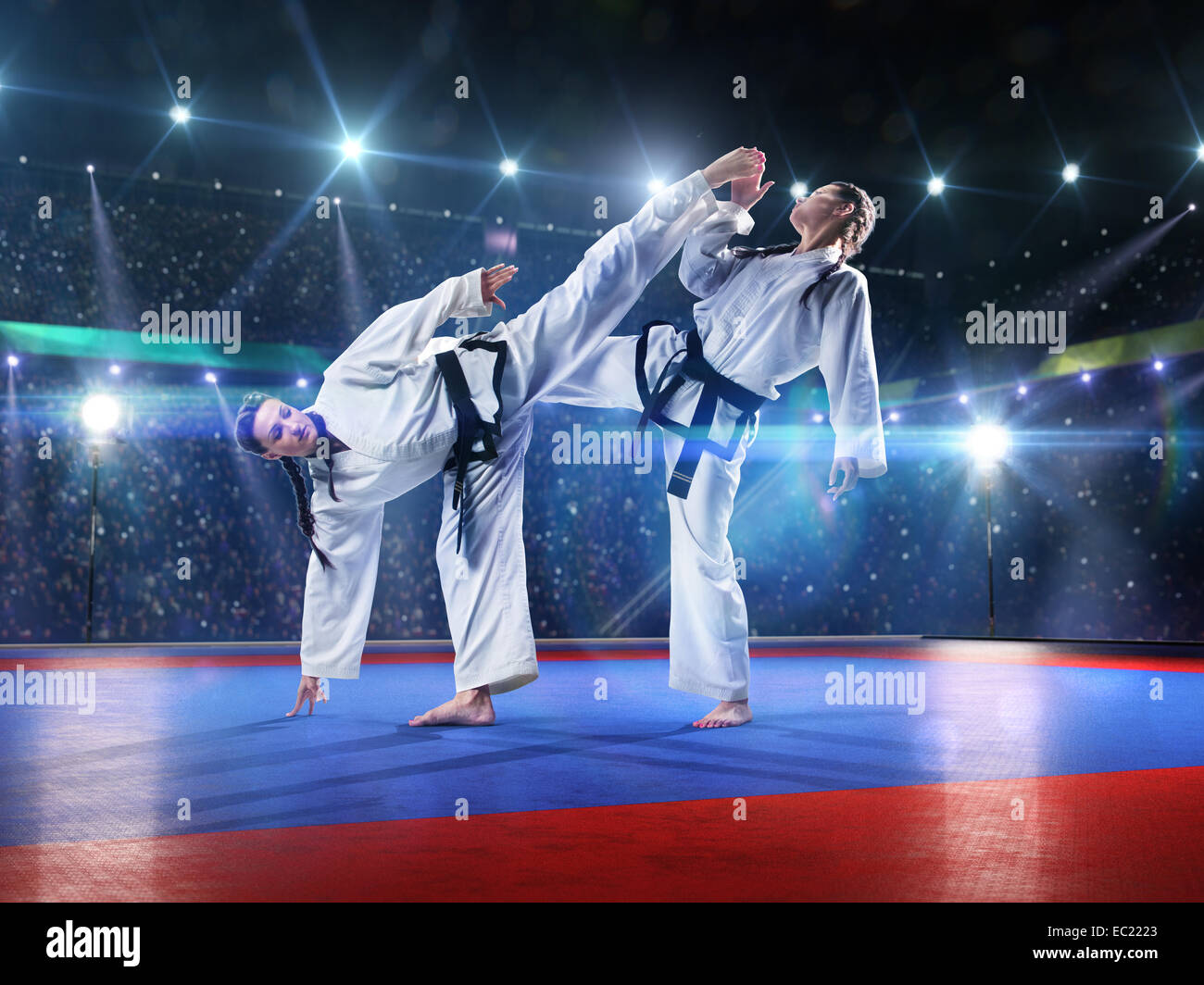 Female karate fighting -Fotos und -Bildmaterial in hoher Auflösung – Alamy
