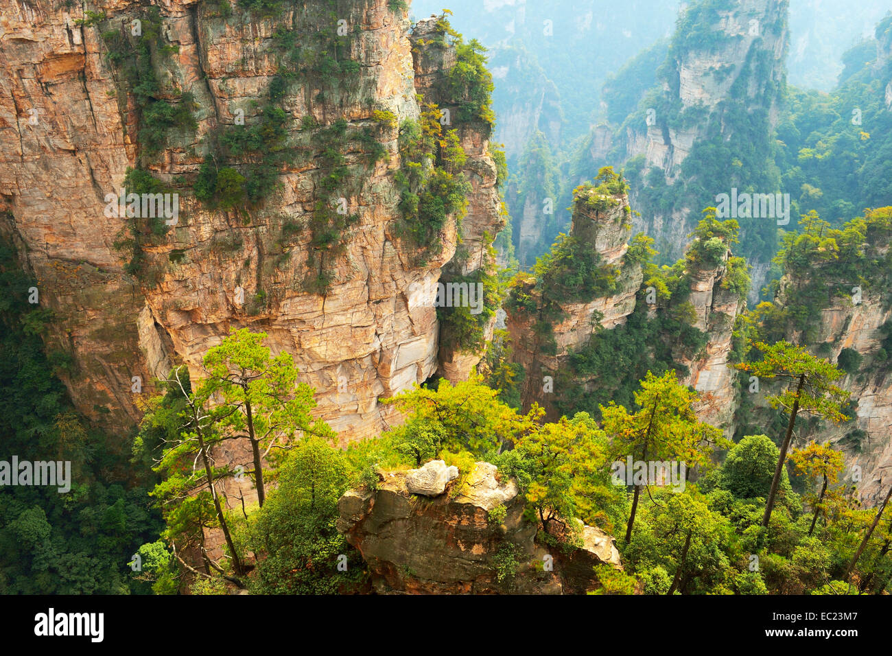 Avatar-Berge mit vertikalen Quarz-Sandstein Säulen, Zhangjiajie ...