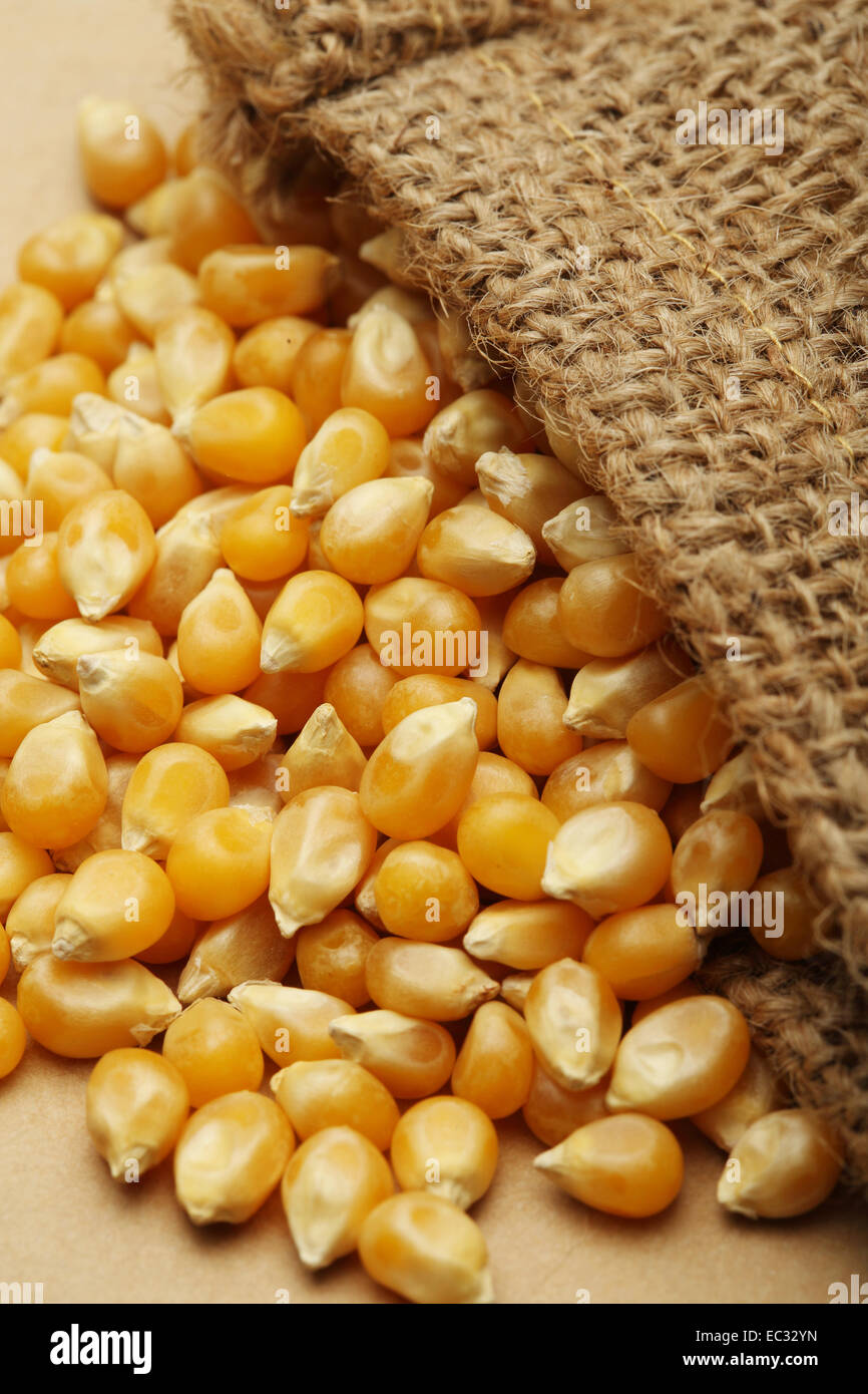 Kleiner sack -Fotos und -Bildmaterial in hoher Auflösung – Alamy