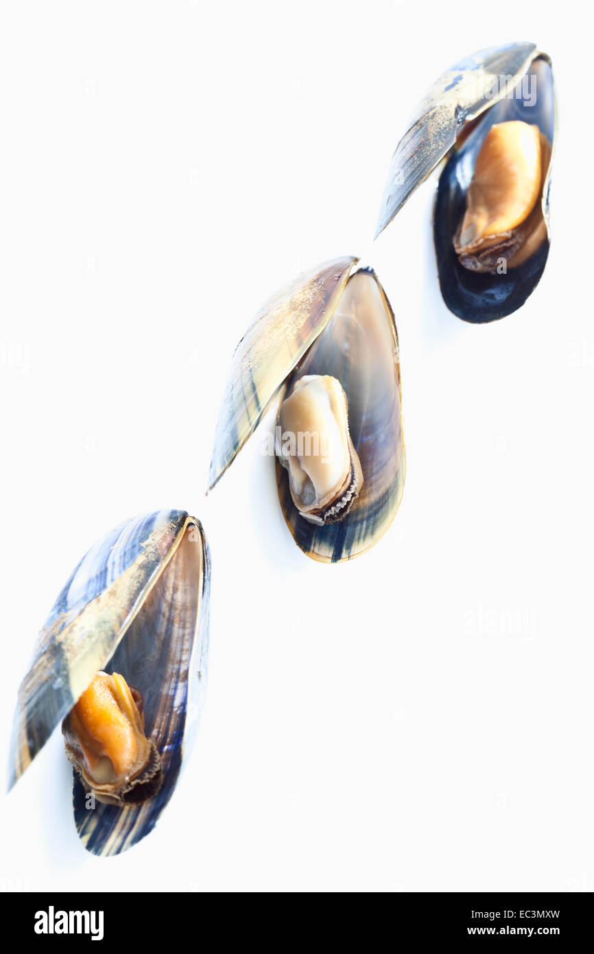 Muscheln essen Ausgeschnittene Stockfotos und -bilder - Alamy