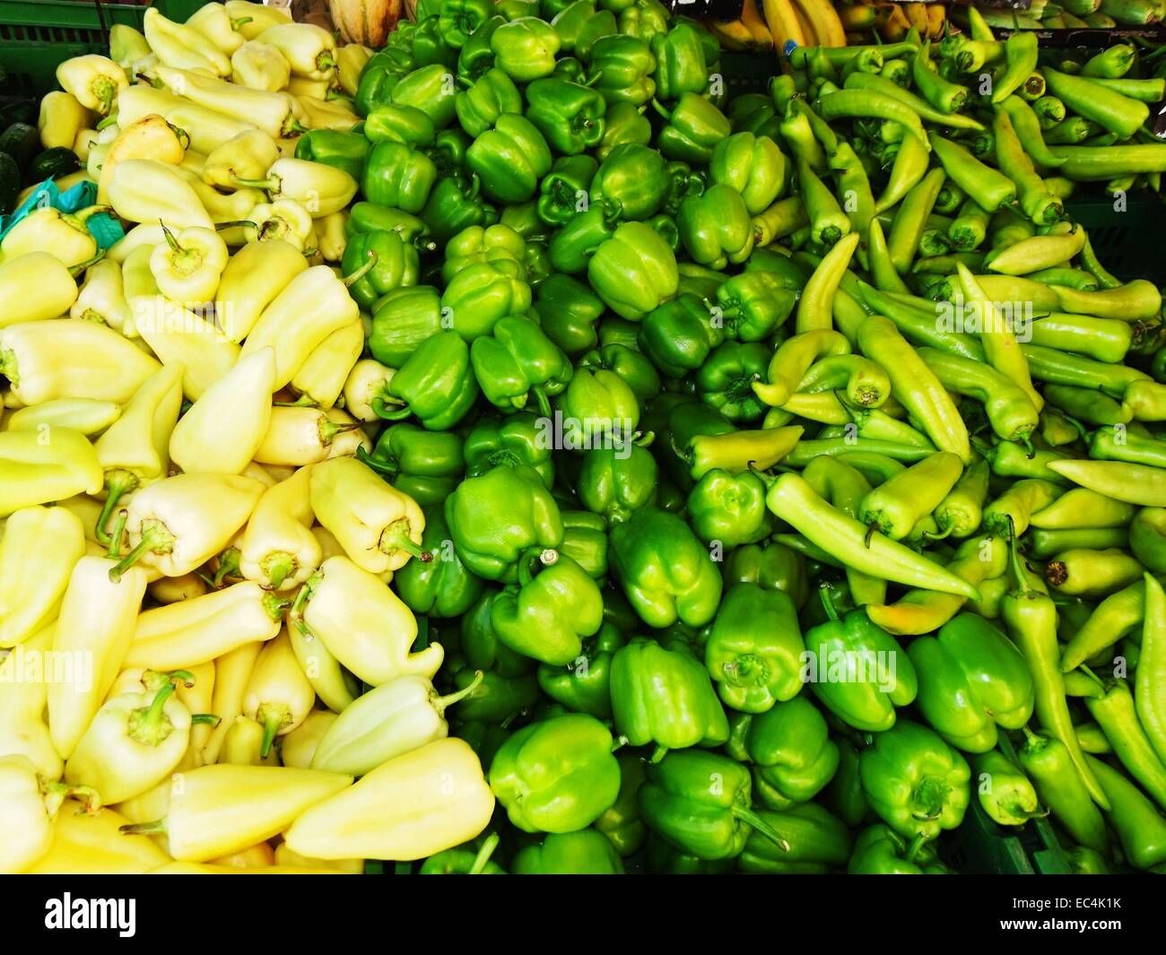 Verschiedenen Paprika Capsicum-Arten Stockfotografie - Alamy
