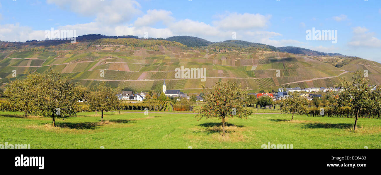 Kinheim -Fotos und -Bildmaterial in hoher Auflösung – Alamy