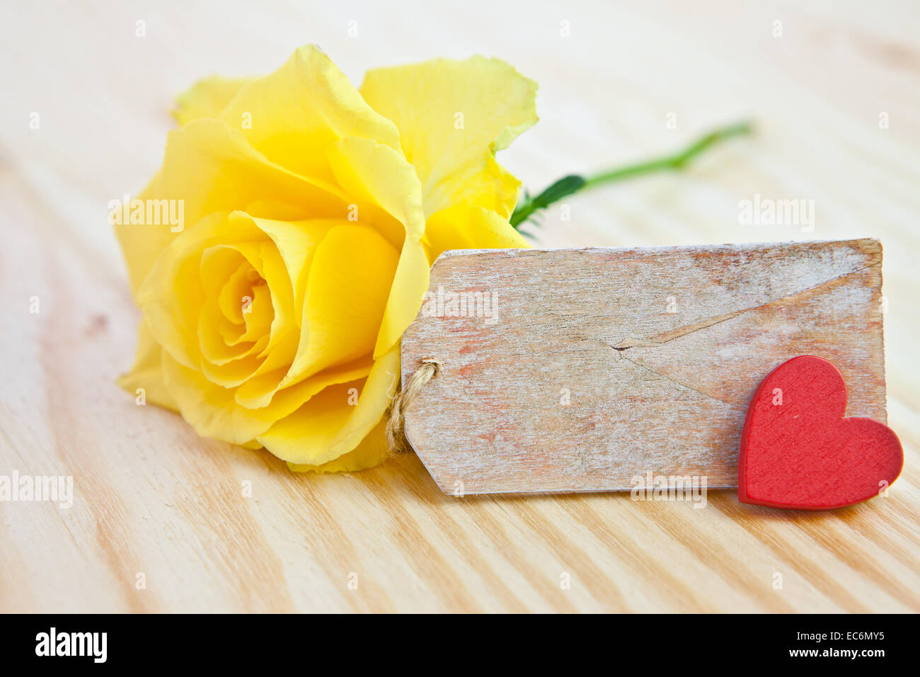Herz einer rose -Fotos und -Bildmaterial in hoher Auflösung – Alamy