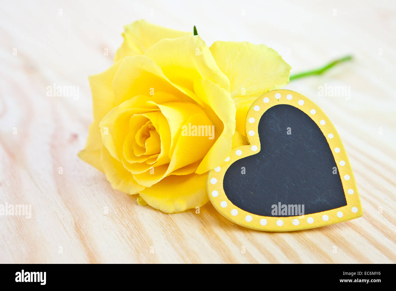 Herz einer rose -Fotos und -Bildmaterial in hoher Auflösung – Alamy
