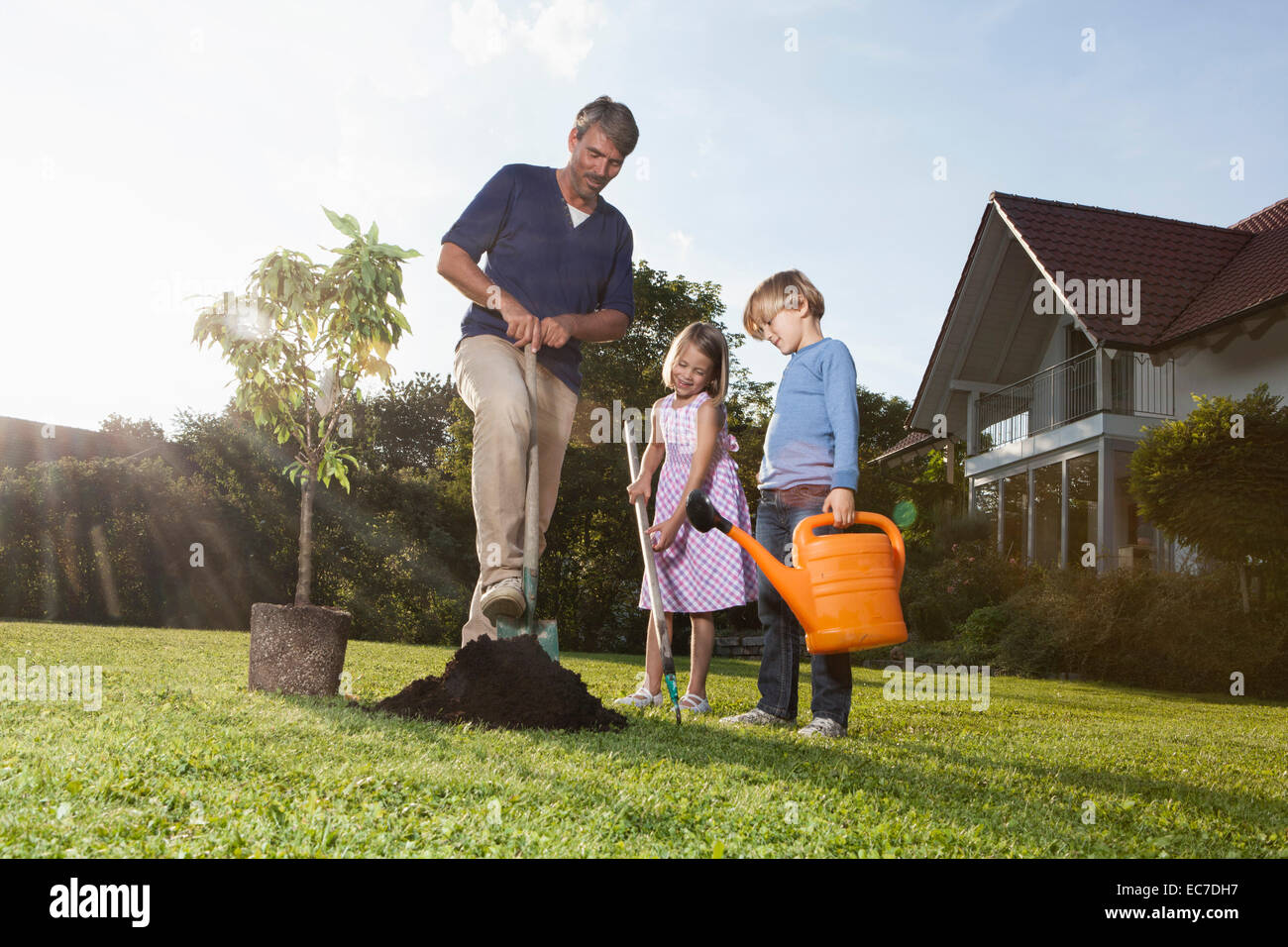 Group Children Planting Tree Stockfotos & Group Children Planting Tree Bilder - Alamy
