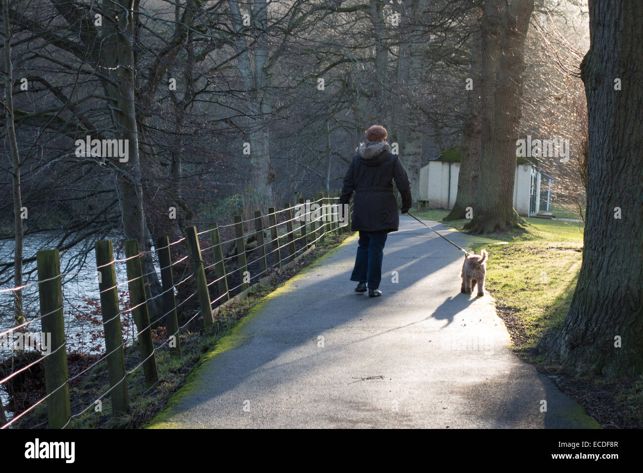 Wilton lodge park hawick -Fotos und -Bildmaterial in hoher Auflösung ...