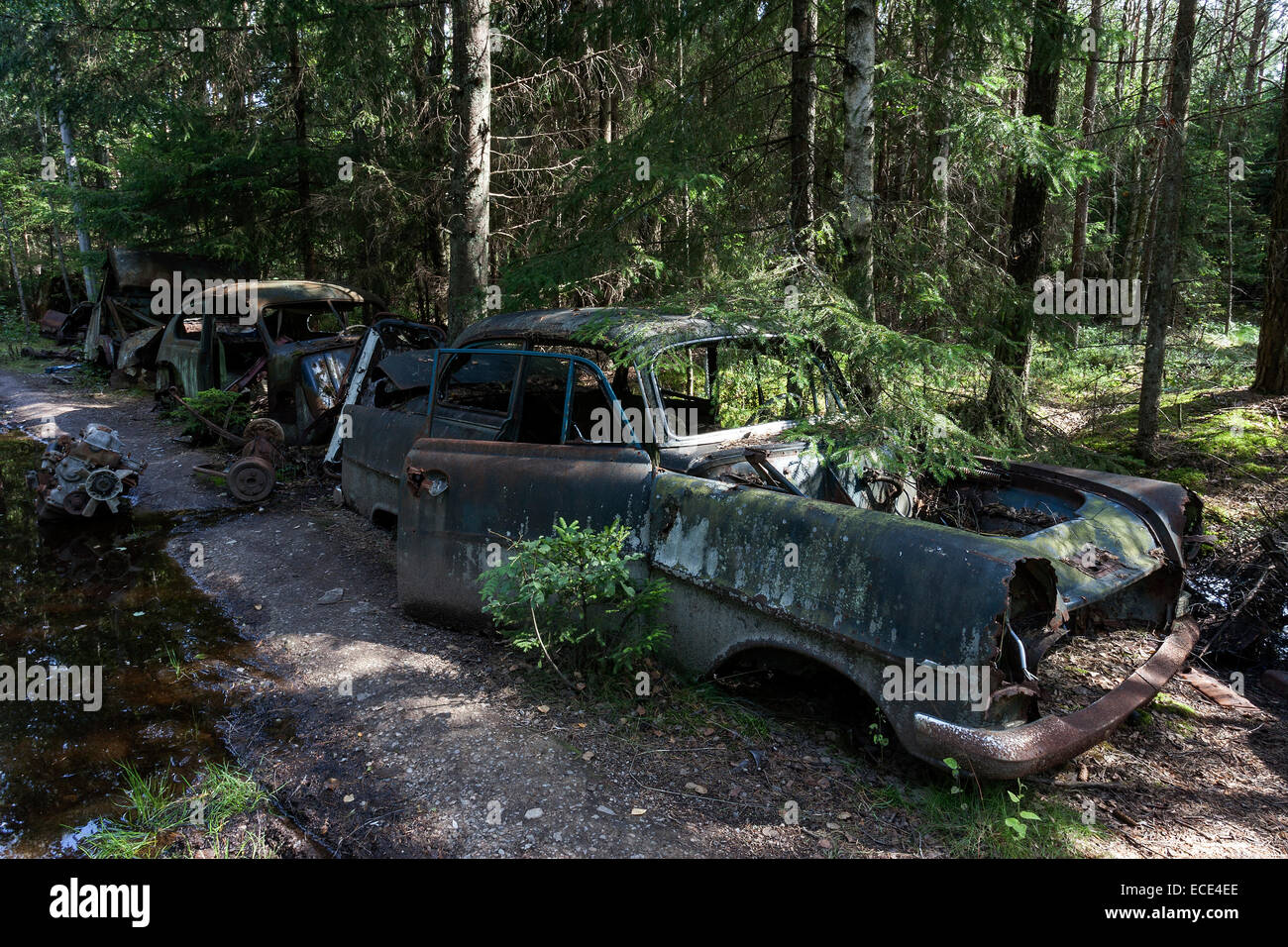 Friedhof Der E Autos